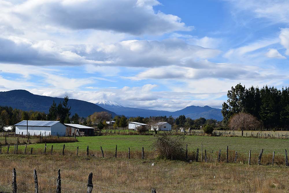 Contested lands and climate change – Arias Bustamante